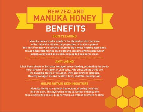 NZ Sunscreen SPF50 Sunblock Lotion 1 litre 4hours water resistant ...
